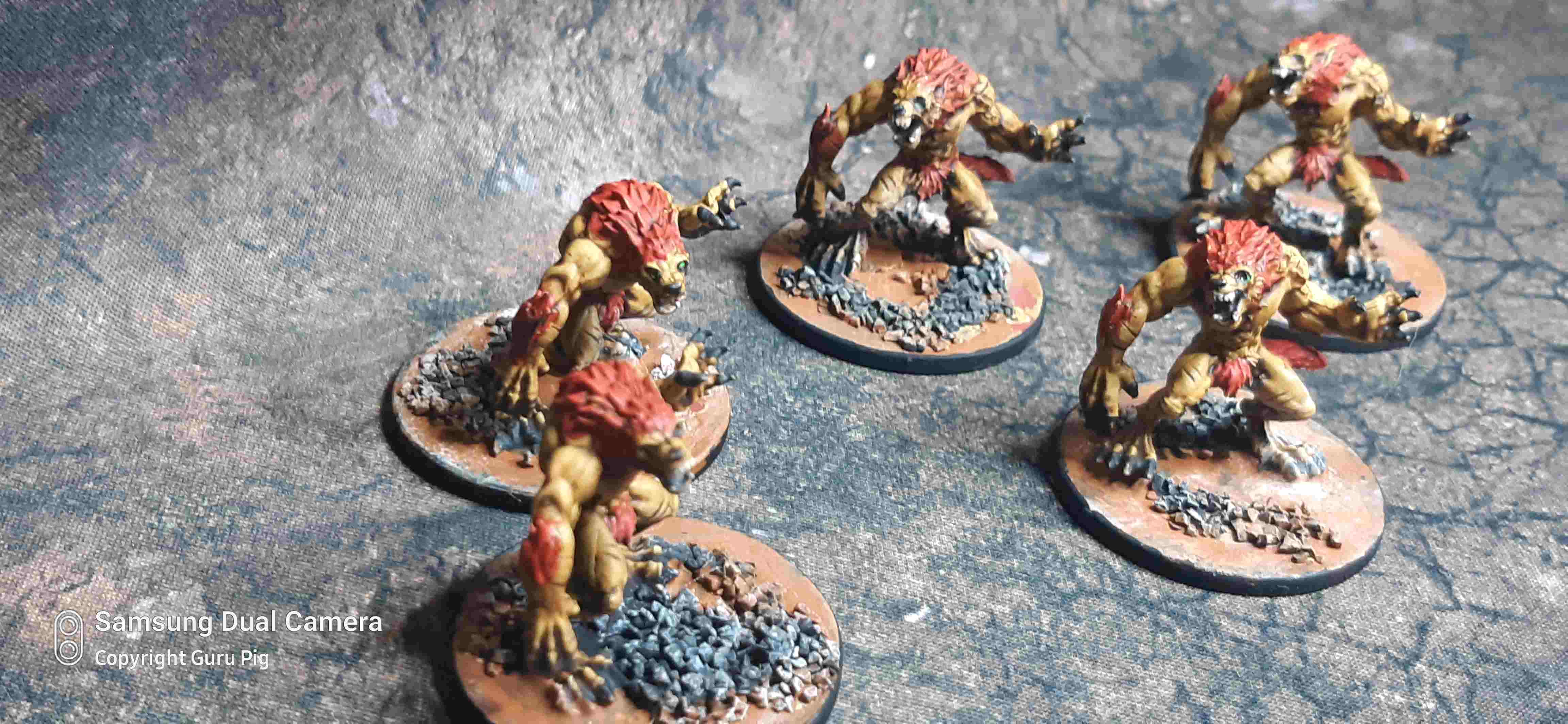 Saharan Sanguine Lycanthropes | Guru Pig – the gaming Guru